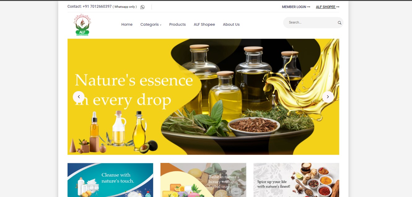 Stackodile | Portfolio